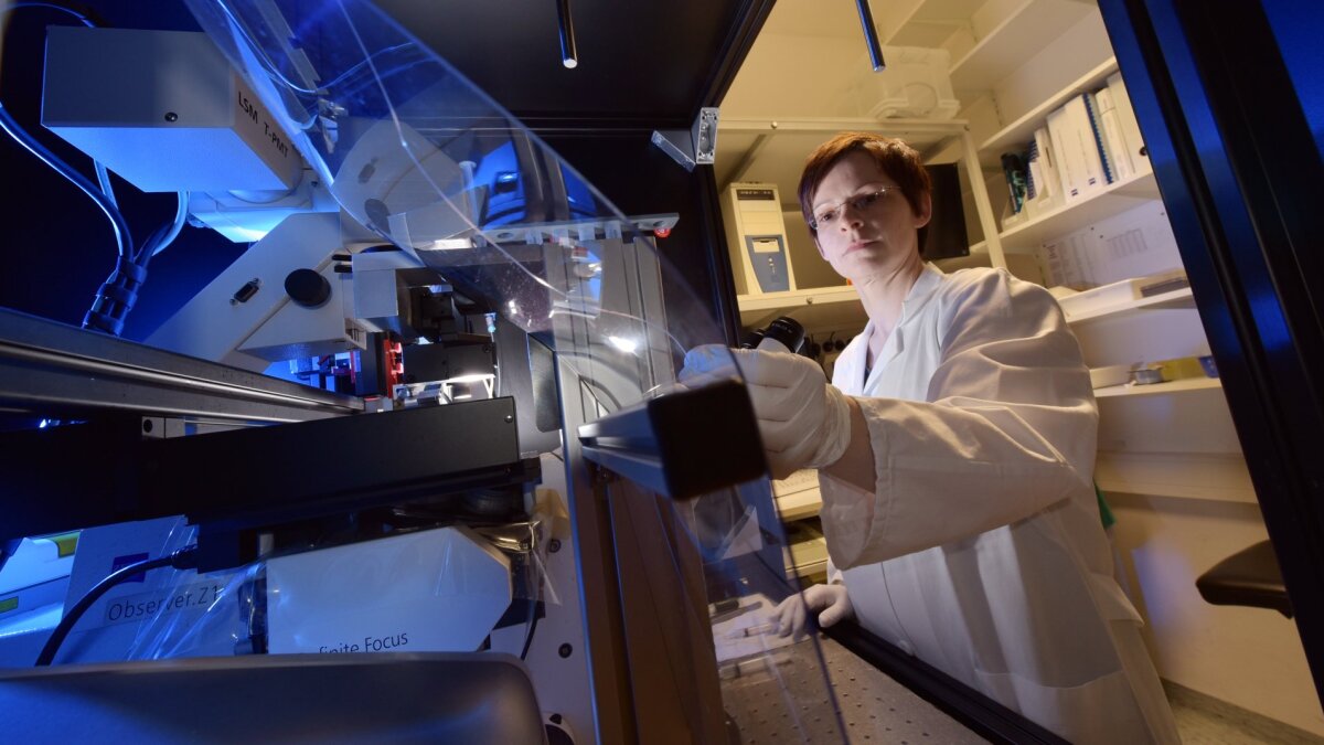 Microbial Communication